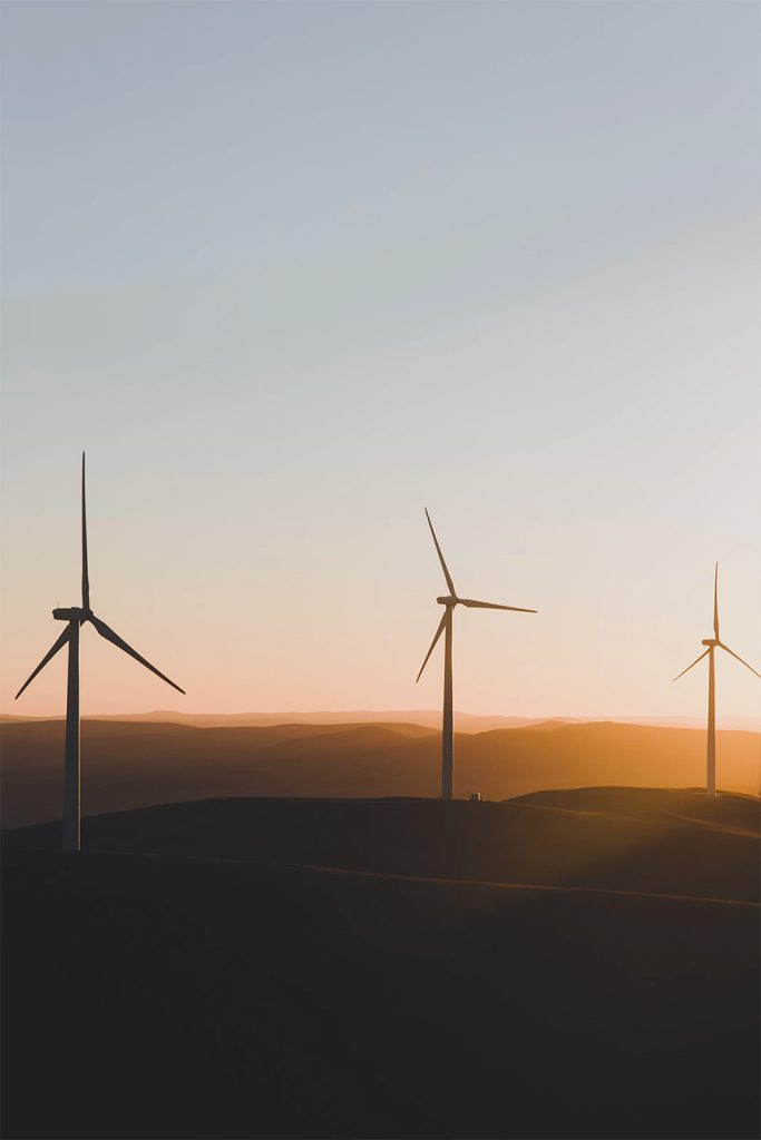 What are renewable sources, and why are they important? – MarvelMoulds